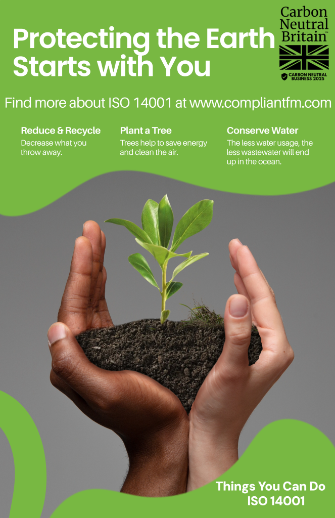 The Importance Looking After The Environment